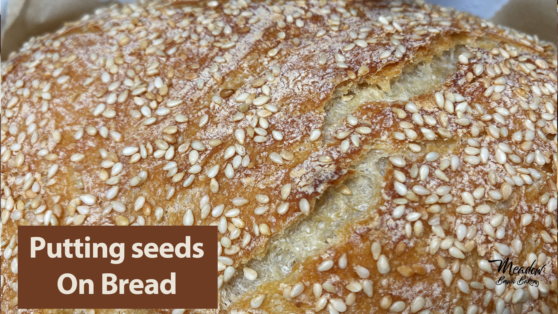 Meadow Brown Bakery - Meadow Brown Bakery